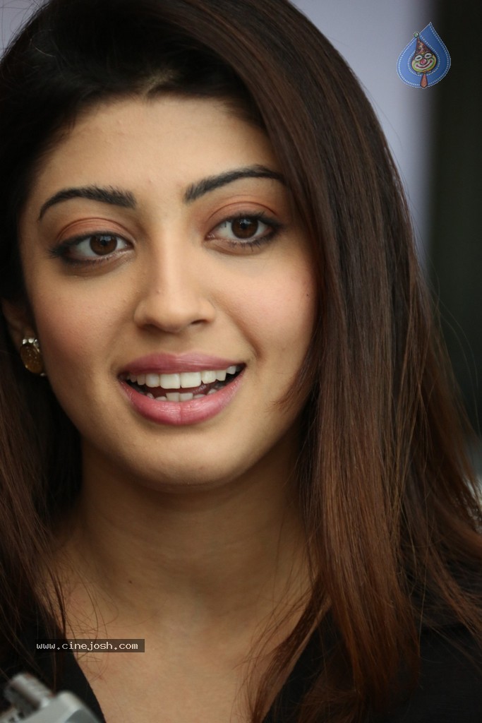 Praneetha New Stills - Photo 3 of 56