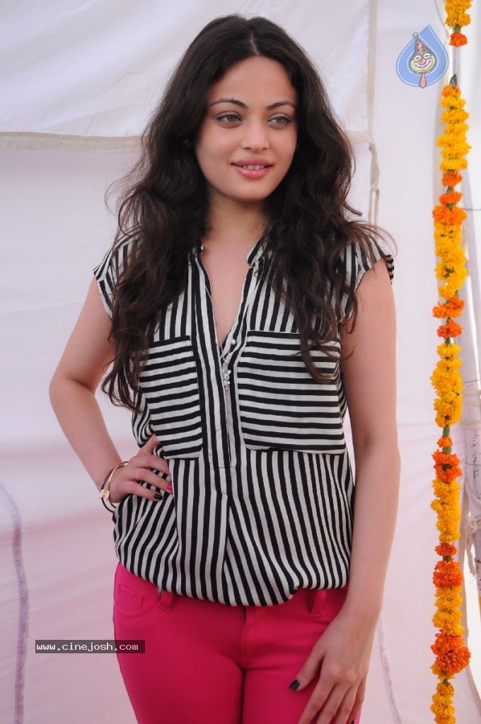 Sneha Ullal New Photos - Photo 3 of 71