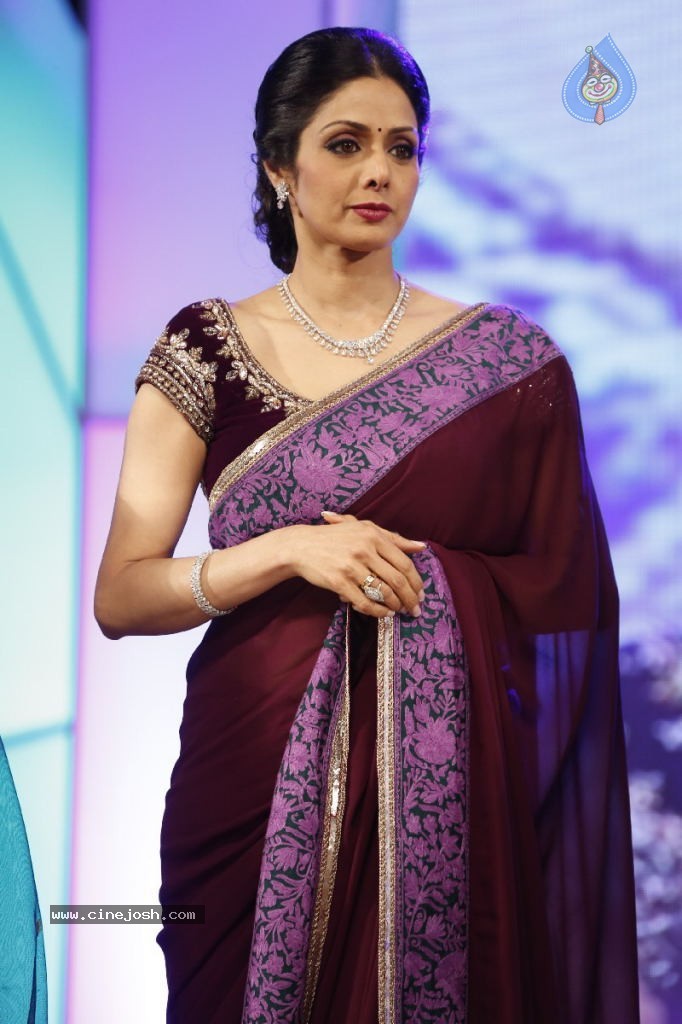 Sridevi New Stills - Photo 3 of 47