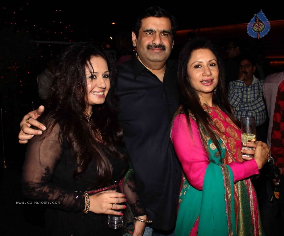 Deepshikha Nagpal Sangeet Ceremony - Photo 8 of 37