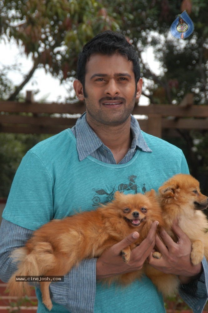 Mr Perfect Movie Latest Gallery - Photo 4 of 64