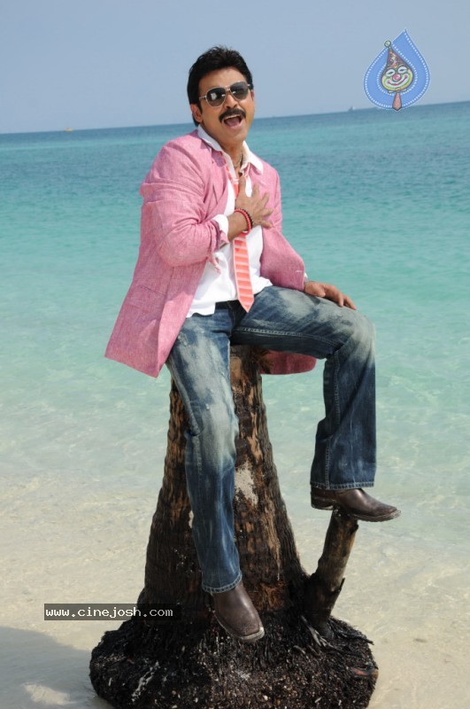Colourful stills - Venkatesh,Trisha - Namo Venkatesa - Photo 37 of 59
