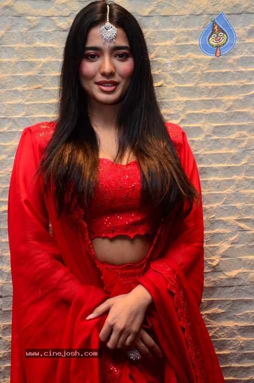 Ketika Sharma Photos - Photo 3 of 20