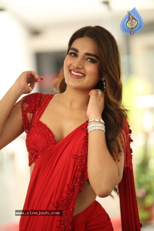 Nidhhi Agerwal - Photo 3 of 21