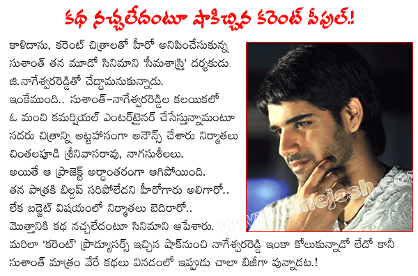 hero sushanth,sushanth latest film,director g.nageswara reddy,producers ...