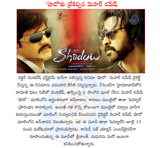shadow,shadow telugu movie,shadow movie shooting stopped,venkatesh ...