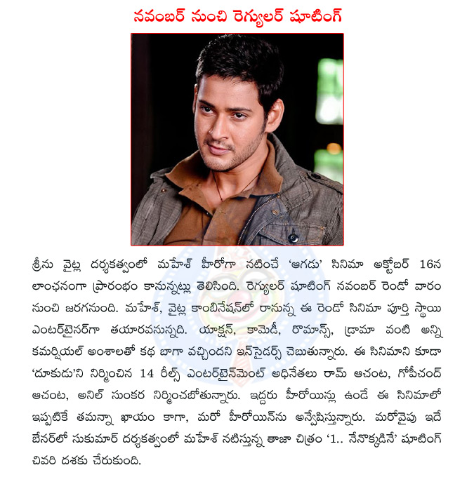 srinu vaitla,sreenu vaitla,mahesh,aagadu,mahesh aagadu,aagadu launch ...