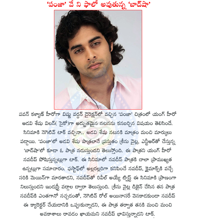 young hero navadeep,baadshah movie,young villain navadeep,panja movie ...